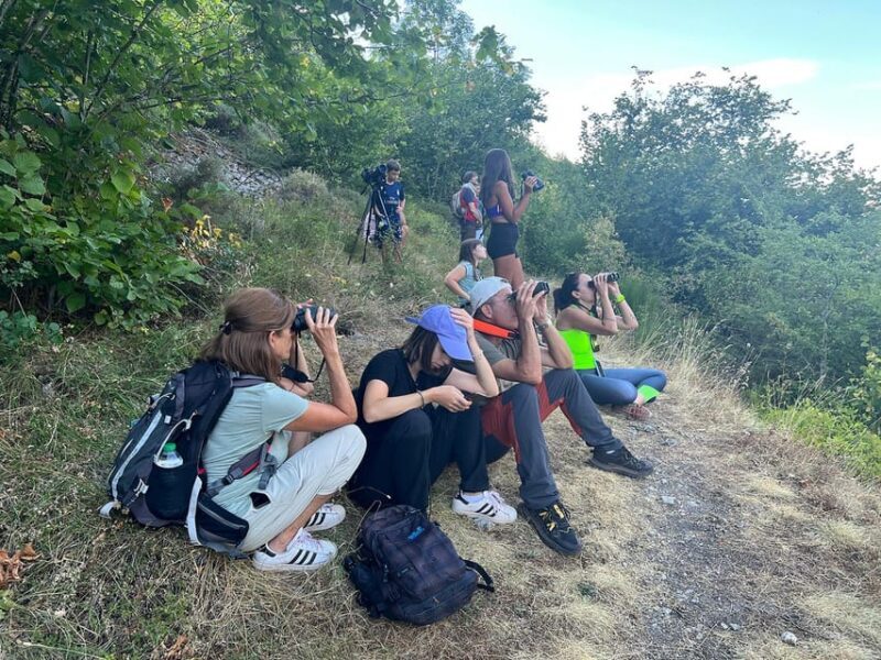 From Gijón, Oviedo or Pola de Somiedo: Brown Bear Spotting - Transportation & Duration