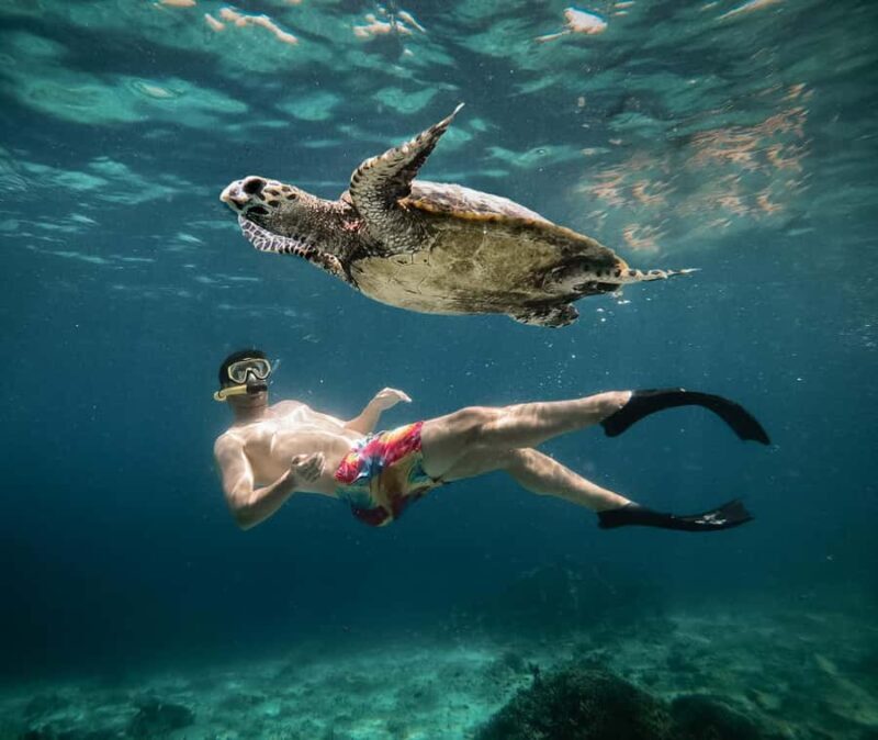From Gili Air: Snorkeling with Turtles & Underwater Statue - Key Points