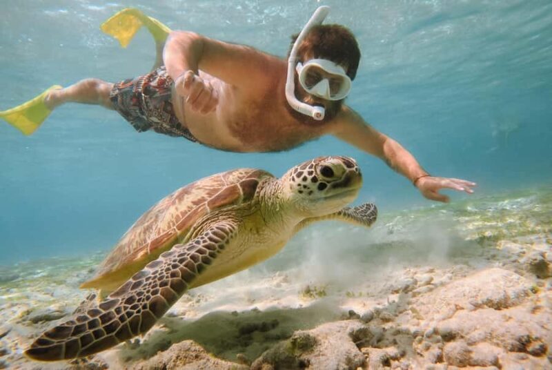 From Gili Air: Snorkeling with Turtles & Underwater Statue - A Practical Look at the Tour Experience
