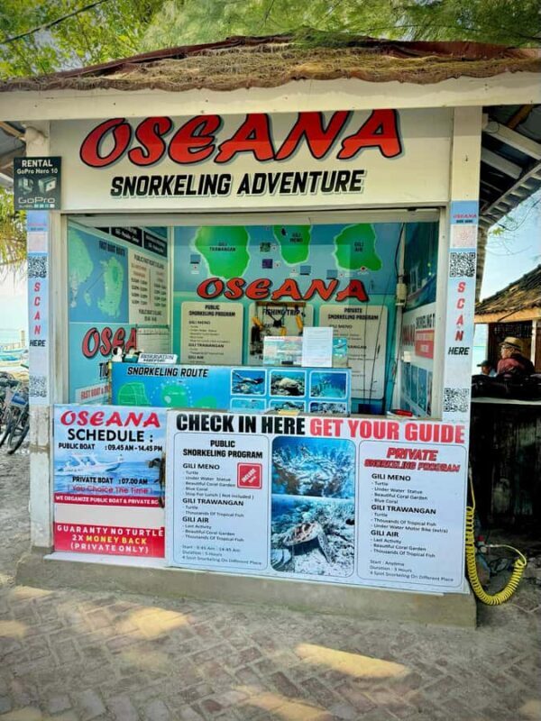 From Gili Air: Snorkeling with Turtles & Underwater Statue - Final Thoughts