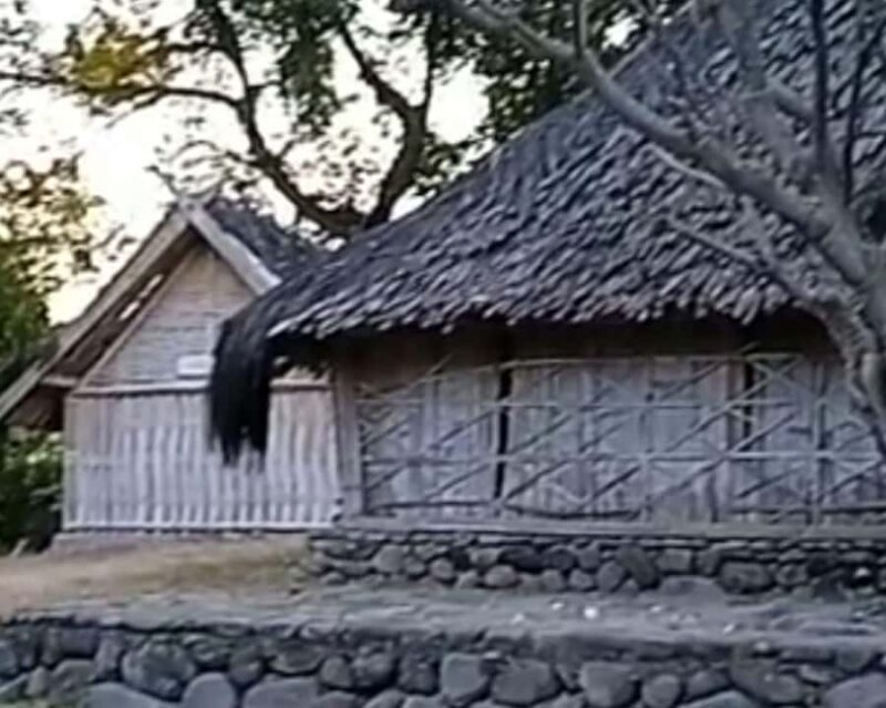 From Gili Island : Waterfalls and Traditional Village Tour - Who Is This Tour Best For?