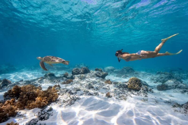 From Gili Meno: Private & Group Gili Islands Snorkeling - FAQ