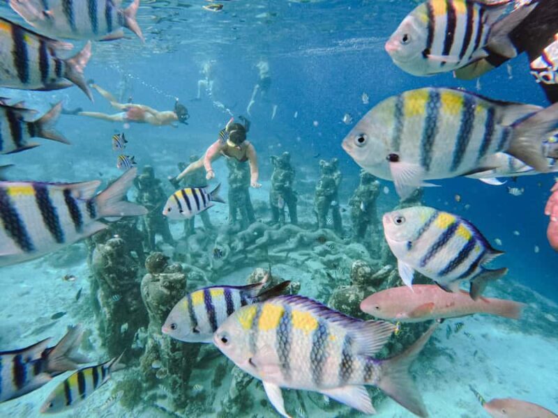 From Gili Meno: Private Snorkeling with Turtle & Statue - Key Points