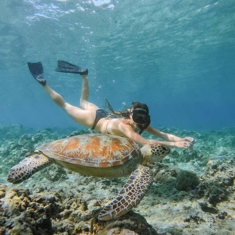 From Gili Meno: Private Snorkeling with Turtle & Statue - Why This Tour Offers Great Value