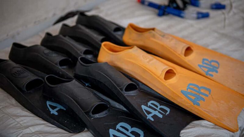 From Gili Meno: Private Snorkeling with Turtle & Statue - FAQs