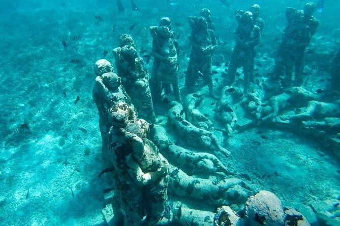 From Gili Trawangan & Gili Air Snorkeling Trip Sharing & Private - An In-Depth Look at the Gili Islands Snorkeling Tour