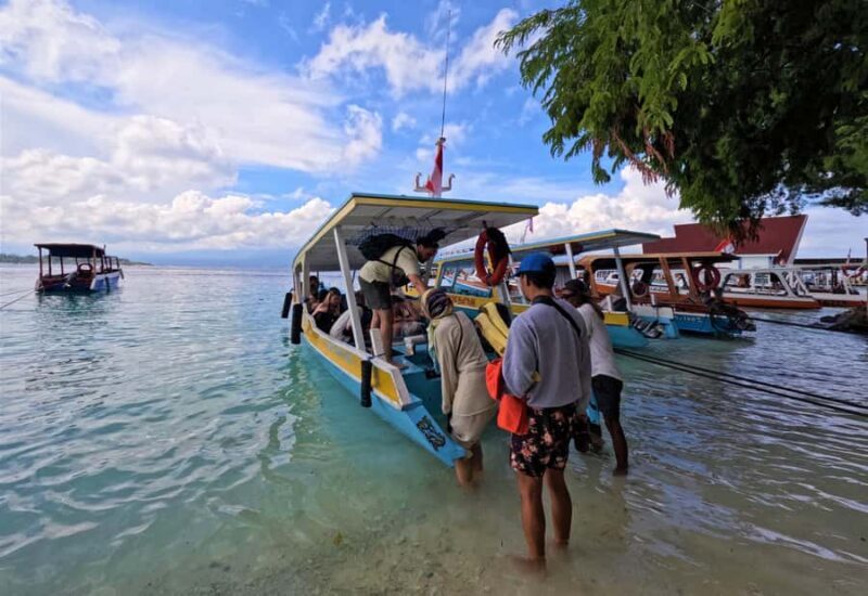 From Gili Trawangan: Small-Group Snorkeling Tour With Turtle - Who Should Book This Tour?