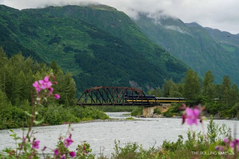 From Girdwood or Anchorage: Spencer Glacier Float & Railroad - Who Should Consider This Tour?