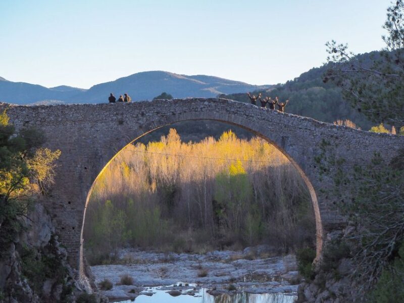 From Girona: Besalú, Banyoles & Historical Garrotxa Day Trip - Key Points