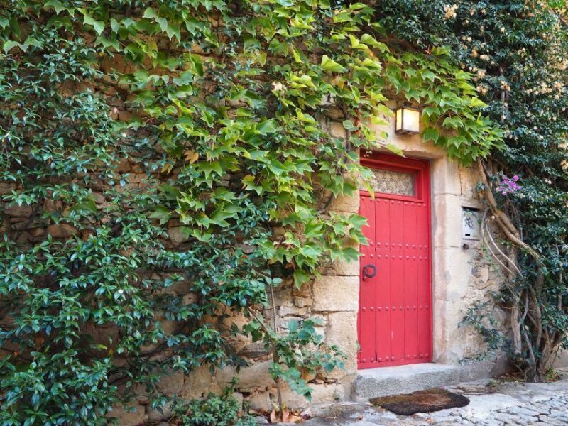 From Girona: Medieval Costa Brava Day Trip - Key Points