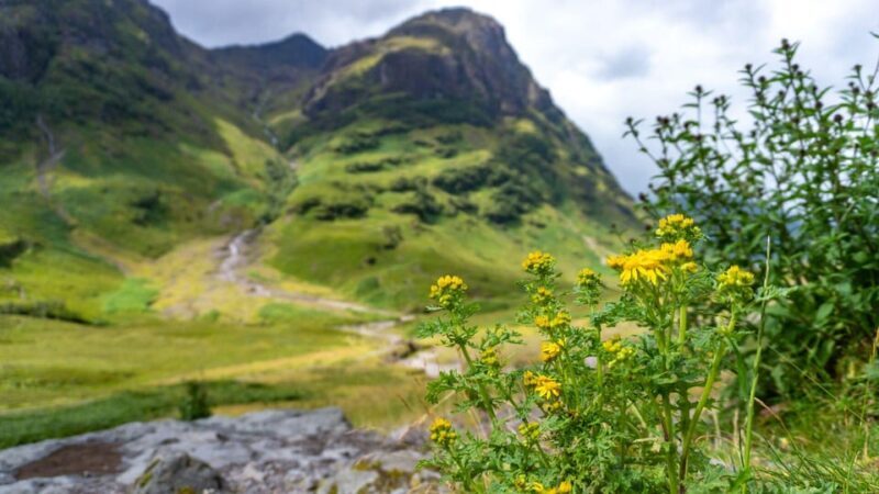 From Glasgow: Loch Ness, Glencoe and Scottish Highlands Trip - Transportation and Guide Experience