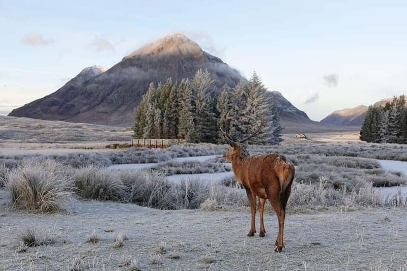 From Glasgow: Oban, Glencoe & Highlands Day Tour - Key Points