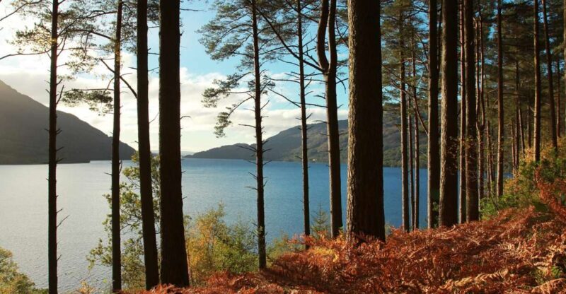 From Glasgow: Stirling Castle & Loch Lomond Tour with Cruise - Key Points