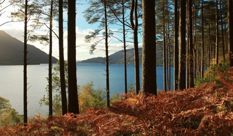 From Glasgow: Whisky and Loch Lomond Tour with Admissions - Final Thoughts