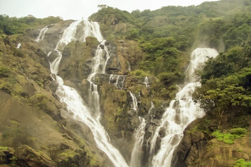 From Goa: Dudhsagar Waterfalls & Plantation Tour - The Sum Up