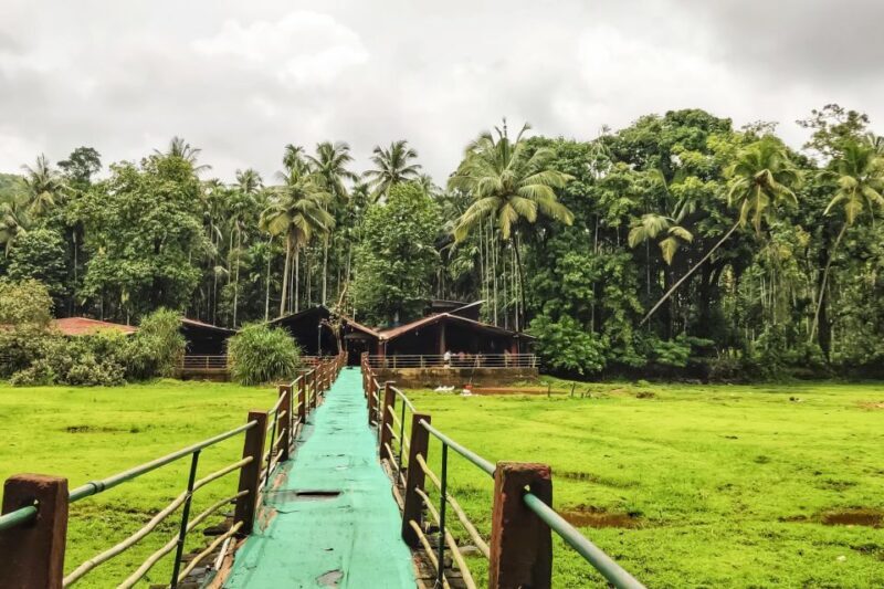 From Goa: Dudhsagar Waterfalls & Plantation Tour - FAQ