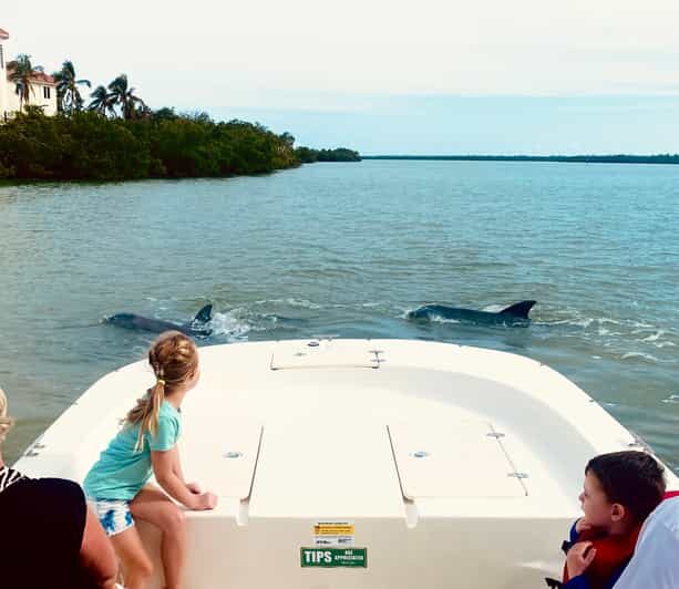 From Goodland: Private Shelling and Dolphin Watching Cruise - Authentic Experiences from Guest Reviews