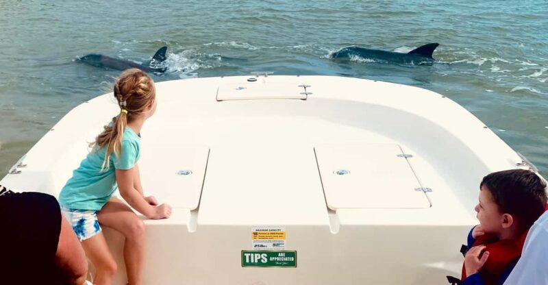 From Goodland: Private Shelling and Dolphin Watching Cruise - Who Should Consider This Tour?