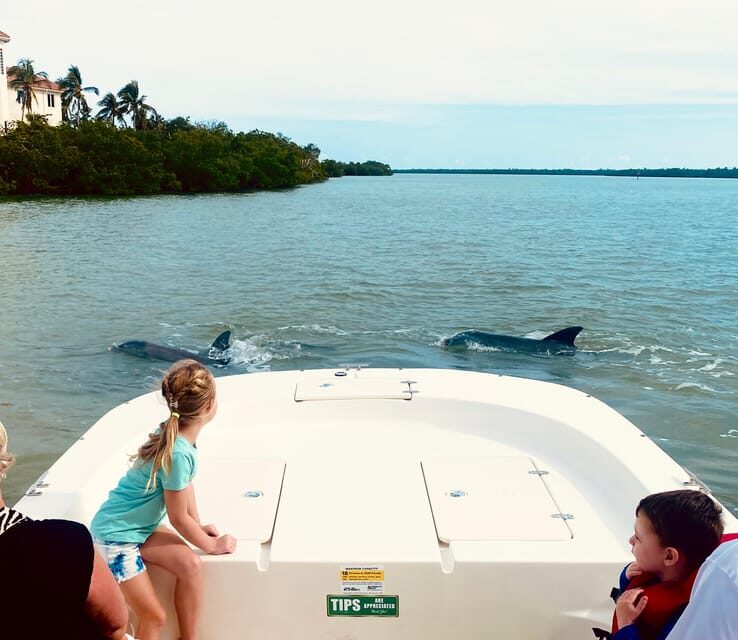 From Goodland: Private Shelling and Dolphin Watching Cruise - The Sum Up