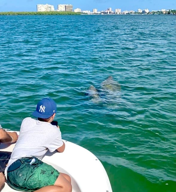 From Goodland: Private Shelling and Dolphin Watching Cruise - Frequently Asked Questions
