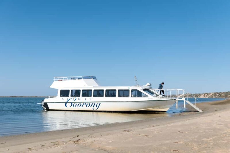 From Goolwa: Full Day Coorong Experience - A Detailed Look at the Coorong Full-Day Experience
