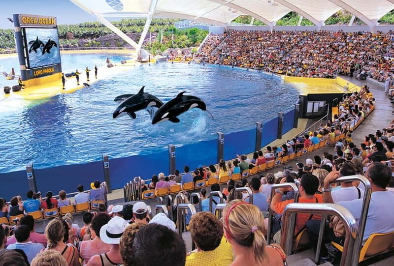 From Gran Canaria: Day Trip to Loro Parque Tenerife - Animal Shows and Exhibits: What Makes It Special