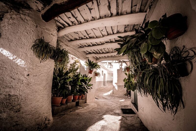 From Granada: Alpujarra Region Full Day Tour - Authenticity and Overall Experience