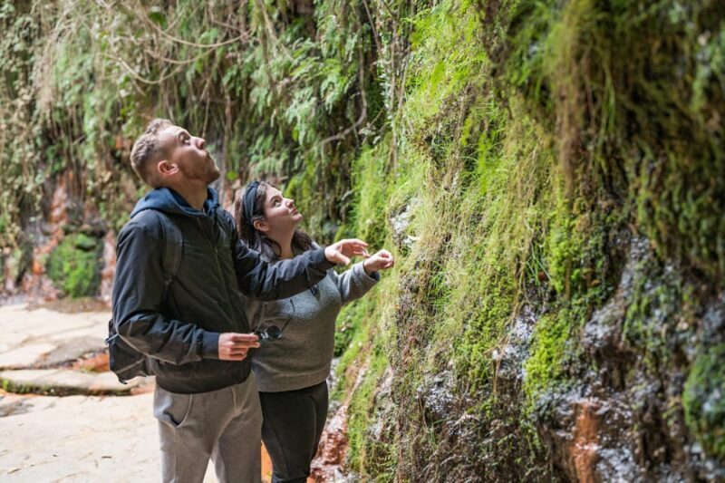 From Granada: Alpujarra Villages Guided Day Tour - Who Will Love This Tour?