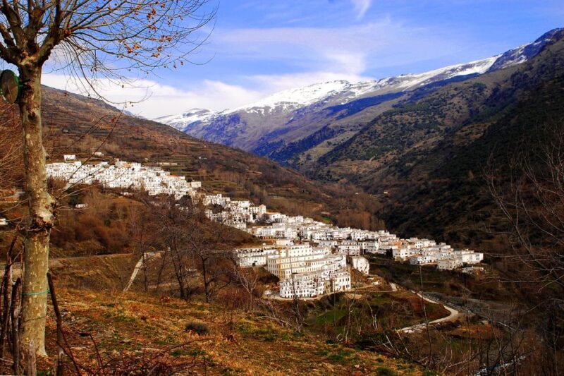 From Granada: Day Trip to Trevélez with Ham Factory - A Deep Dive into the Trek: What to Expect