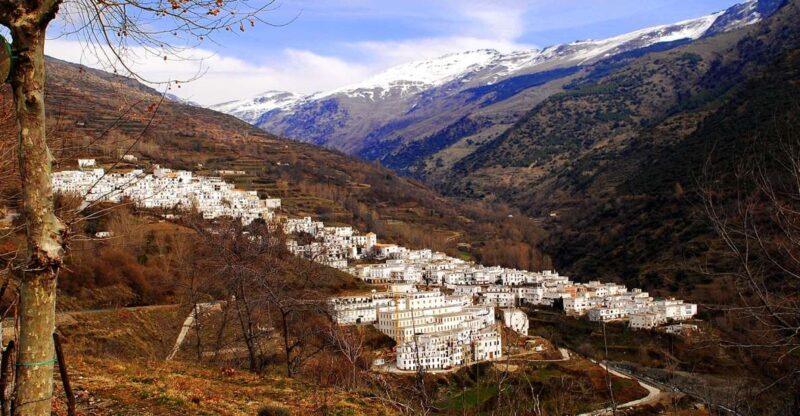 From Granada: Day Trip to Trevélez with Ham Factory - Practical Tips for Travelers