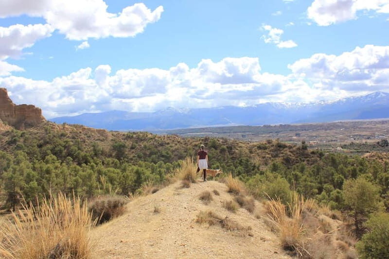 From Granada: Granada Geopark, Guadix and Troglodyte City - The Itinerary: What You’ll Experience