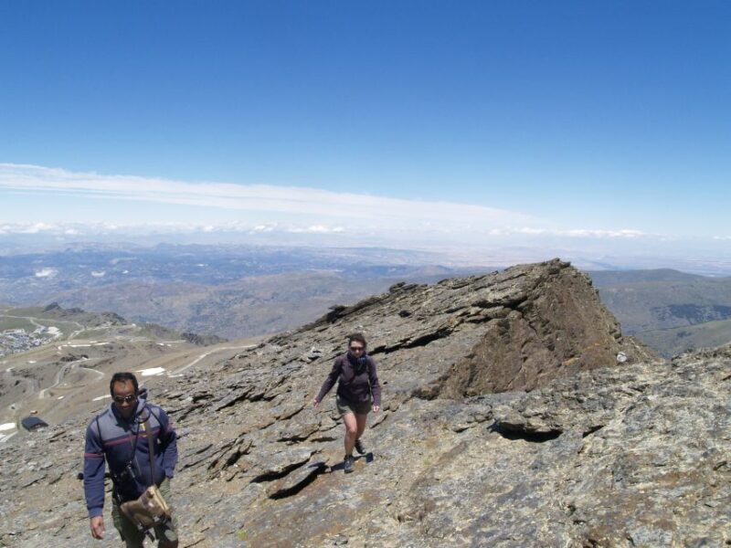 From Granada: High Sierra Nevada hiking experience - Wildlife and Nature Highlights