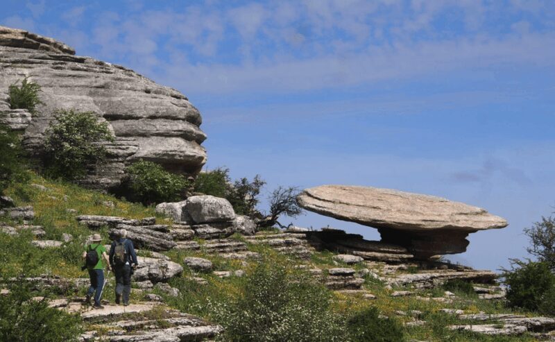 From Granada: Lobo Parque and Torcal de Antequera, Adventure Excursion - What to Expect from the Tour