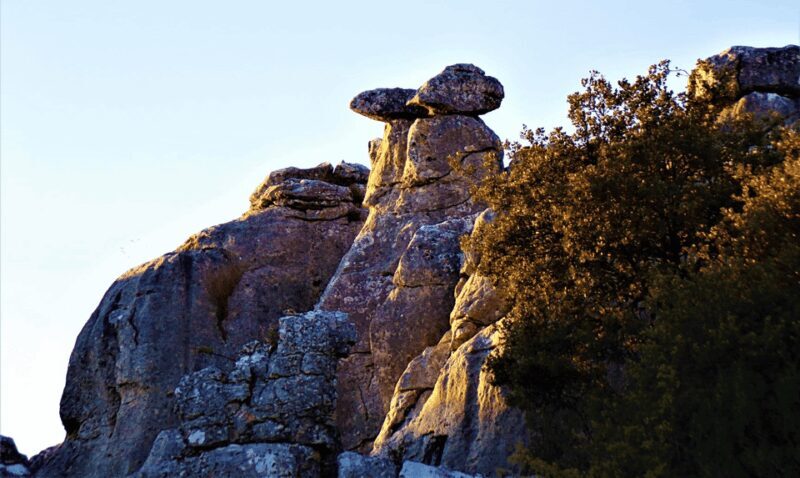 From Granada: Lobo Parque and Torcal de Antequera, Adventure Excursion - Final Words