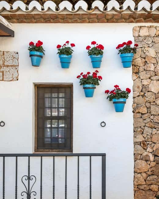 From Granada: Nerja and Frigiliana Private Day Tour - A closer look at this day tour from Granada