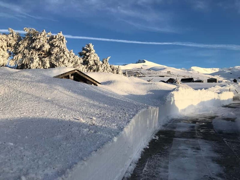 From Granada: Sierra Nevada Safari up to 2500 meters high - From Granada: Sierra Nevada Safari up to 2500 meters high — A Detailed Review