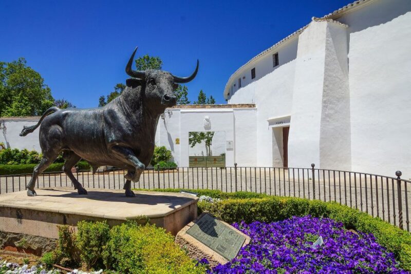 From Granada: Tour to Ronda and Setenil de Las Bodegas - Who This Tour Is Best For