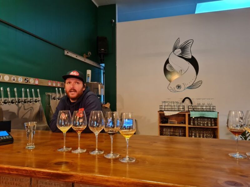 From Greymouth: Highlights West Coast Day Tour - An Overview of the Experience