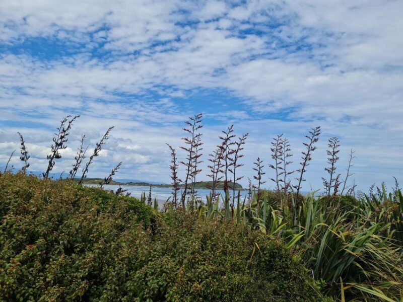 From Greymouth: Highlights West Coast Day Tour - Practical Details and Tips