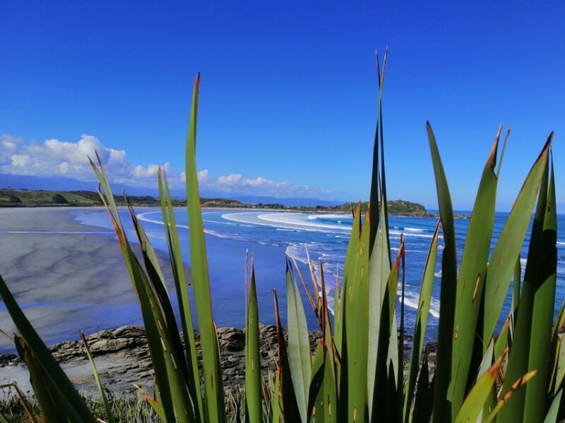 From Greymouth: Highlights West Coast Day Tour - Frequently Asked Questions