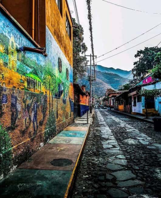 From Guadalajara: Chapala & Ajijic Private Full Day Tour - Practical Tips for Making the Most of Your Day