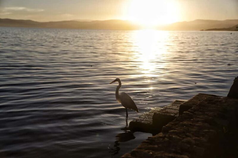From Guadalajara: Chapala Lake & Ajijic Tour - FAQs