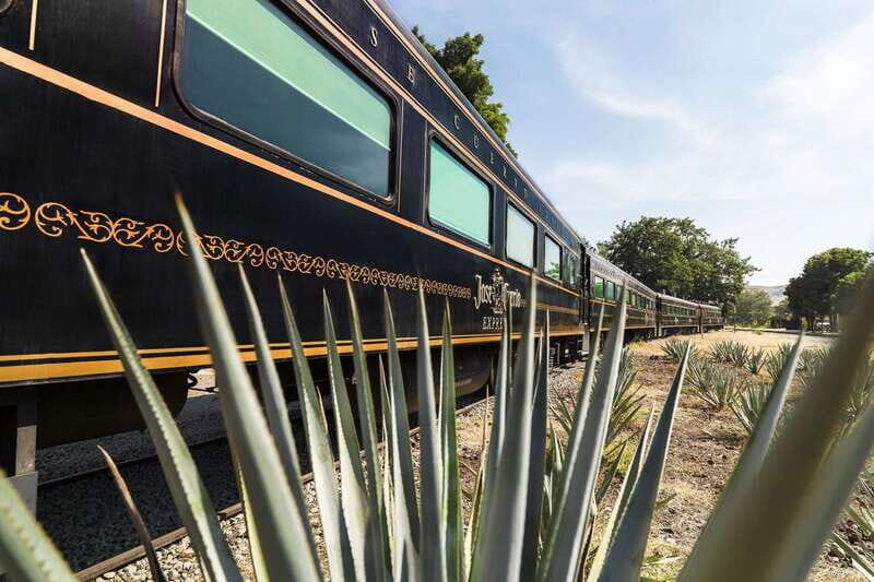 From Guadalajara: La Rojeña Distillery & Jose Cuervo Train - A Practical Look at the Tour Experience