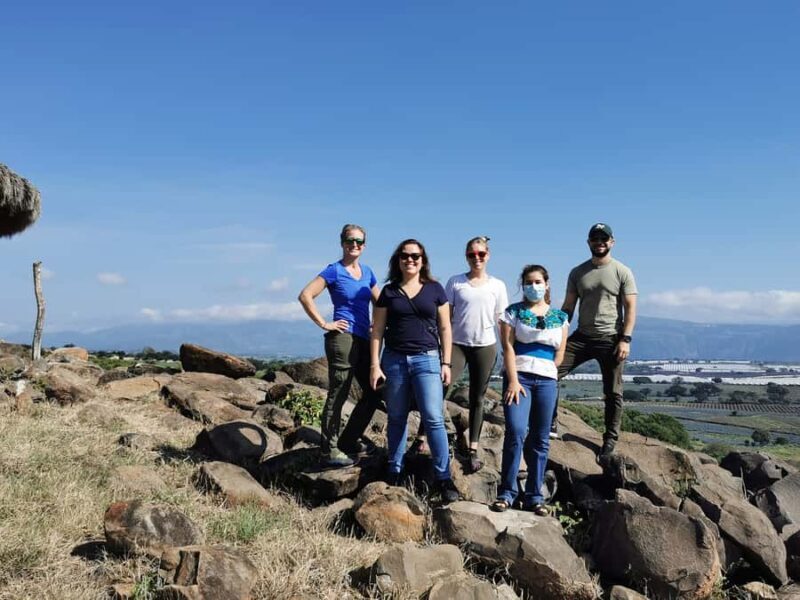 From Guadalajara: Tequila Tour: Tasting Experience & Lunch - The Itinerary in Detail