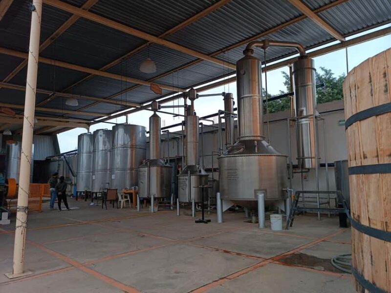 From Guadalajara: Tequila Town and Cantaritos El Guero - Who Will Benefit Most From This Tour?