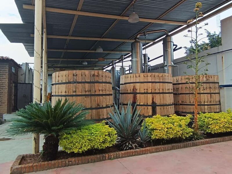From Guadalajara: Tequila Town and Cantaritos El Guero - Final Thoughts