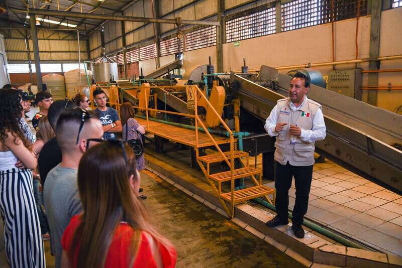 From Guadalajara: Tequila Trail Tour with Tasting - Who Is This Tour Best Suited For?