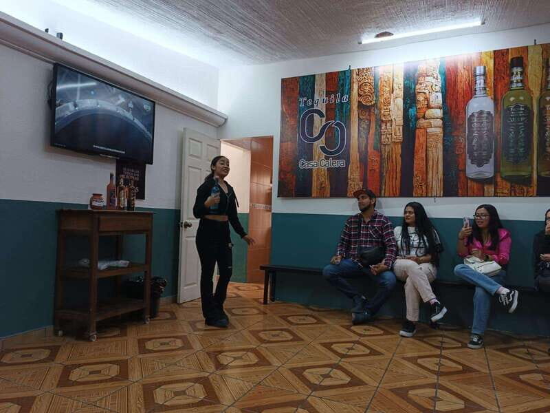 From Guadalajara to Chapala Lake: Funny and cultural tour - Final Thoughts: Who Should Book This Tour?