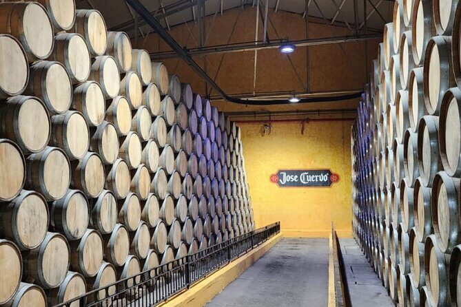 From Guadalajara to Cuervo for Worlds Largest Tequila Factory - Authentic Experiences and Traveler Feedback