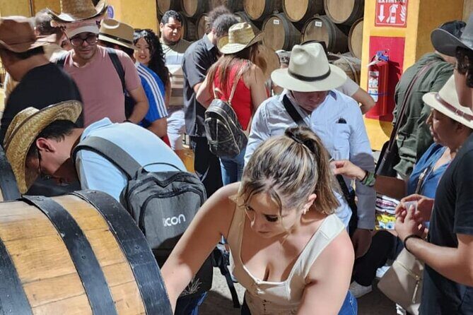 From Guadalajara to Cuervo for Worlds Largest Tequila Factory - Who Should Consider This Tour?